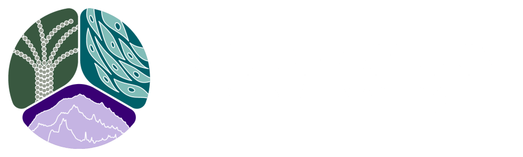 Introducing Our New Visual Identity - UW Neurobiology & Biophysics